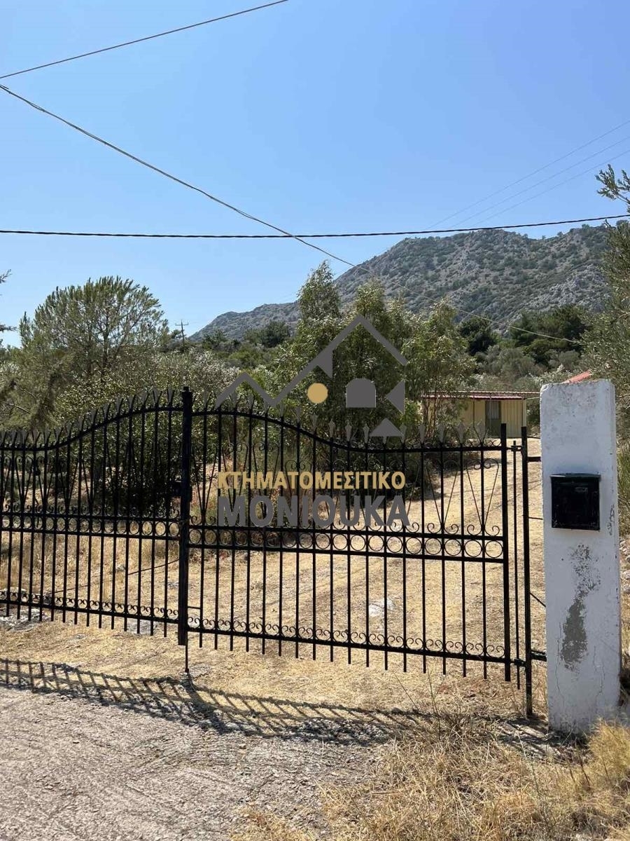 (Προς Πώληση) Αξιοποιήσιμη Γη Αγροτεμάχιο || Ν. Χίου/Χίος - 4.431 ...