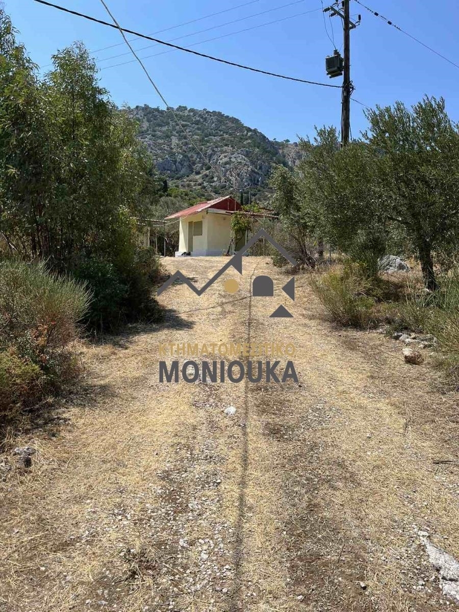 (Προς Πώληση) Αξιοποιήσιμη Γη Αγροτεμάχιο || Ν. Χίου/Χίος - 4.431 ...